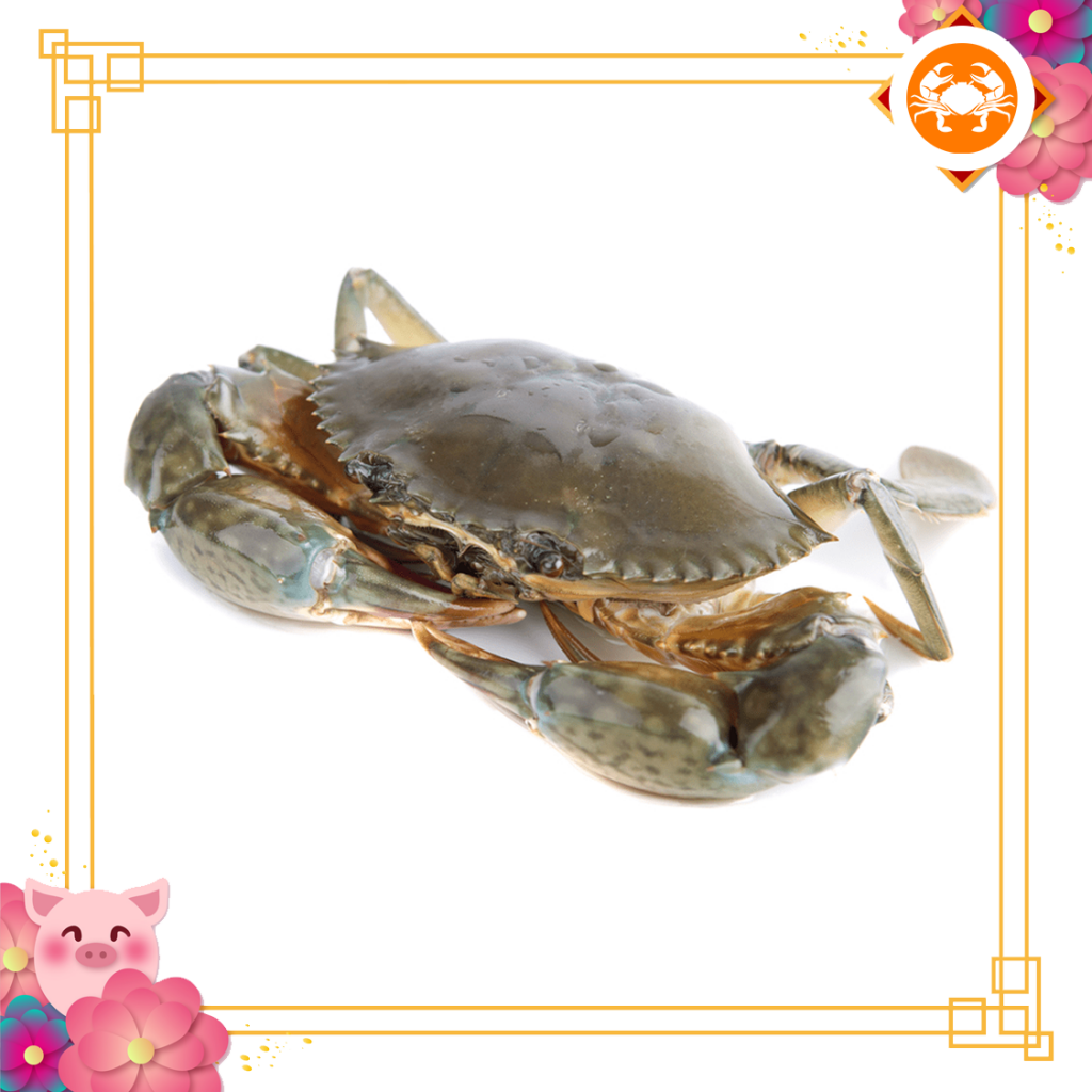 Cua King Crab