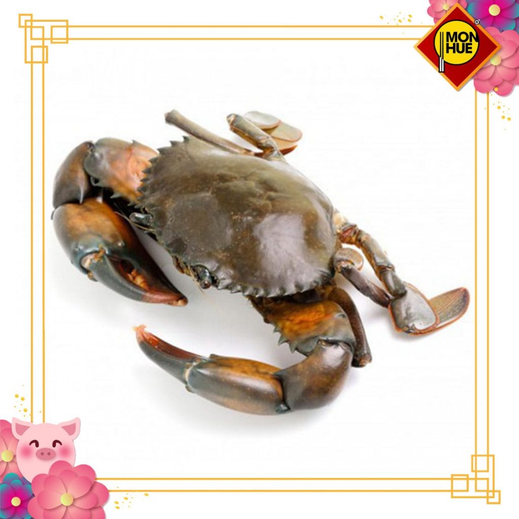 Cua King Crab - Nhà Hàng Món Huế